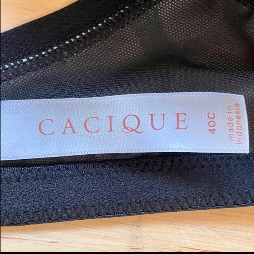 Cacique Lane Bryant 40c Lightly Lined Full Coverage B… - Gem